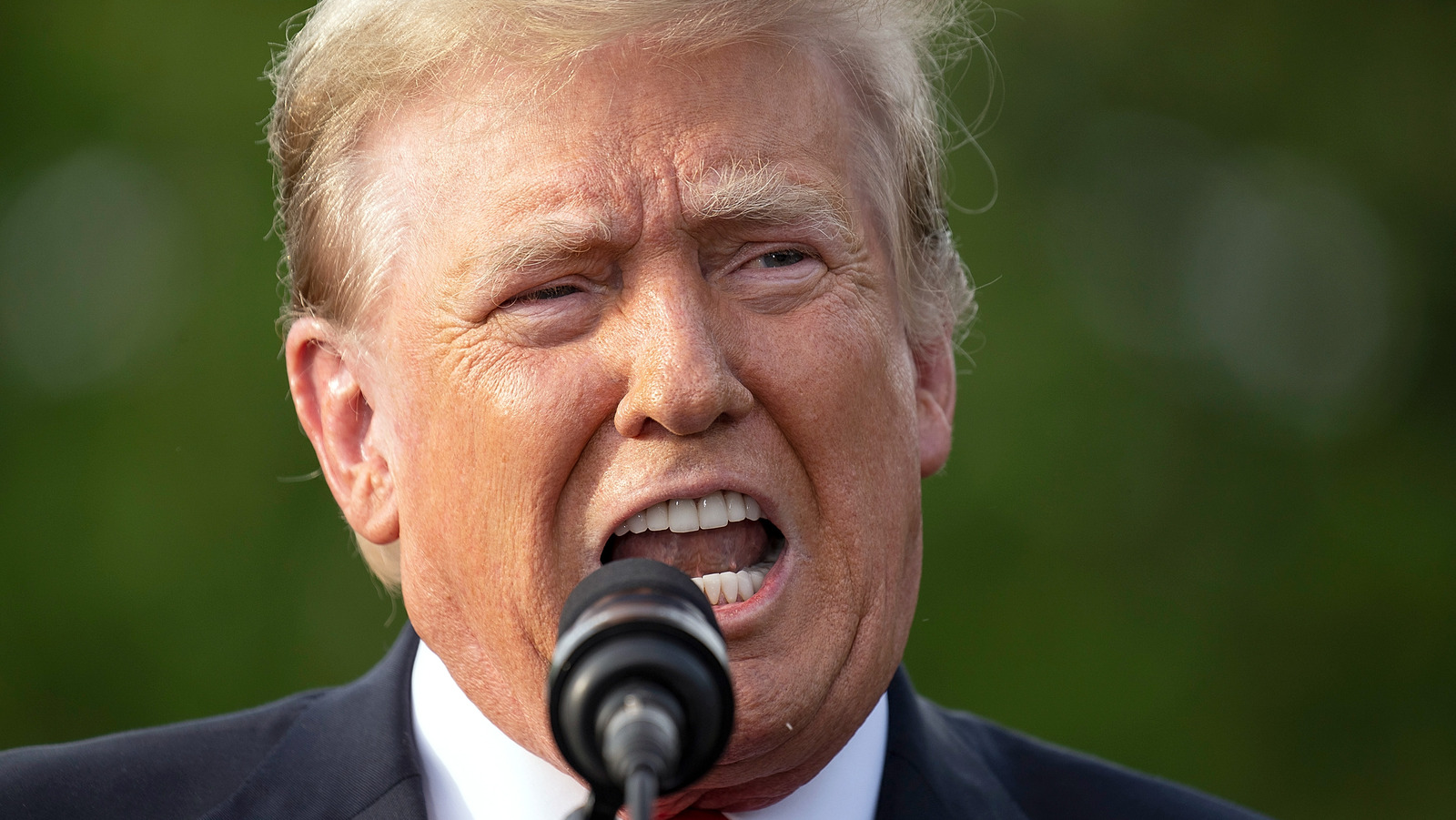 Mary Trump Revealed The Childhood Origin Story For Donald's Temper Tantrums