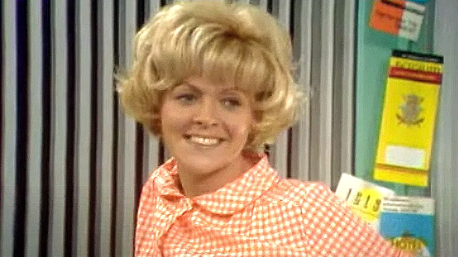 Mayberry R.F.D. Star Arlene Golonka's Net Worth At The Time Of Her ...