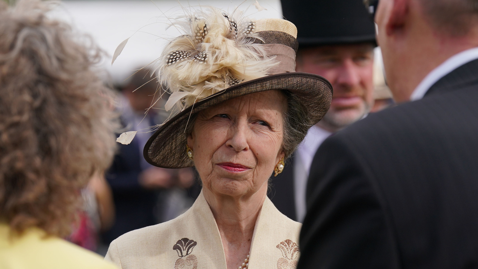 One Royal Expert Believes Princess Anne Is 'Furious' With Prince Harry ...