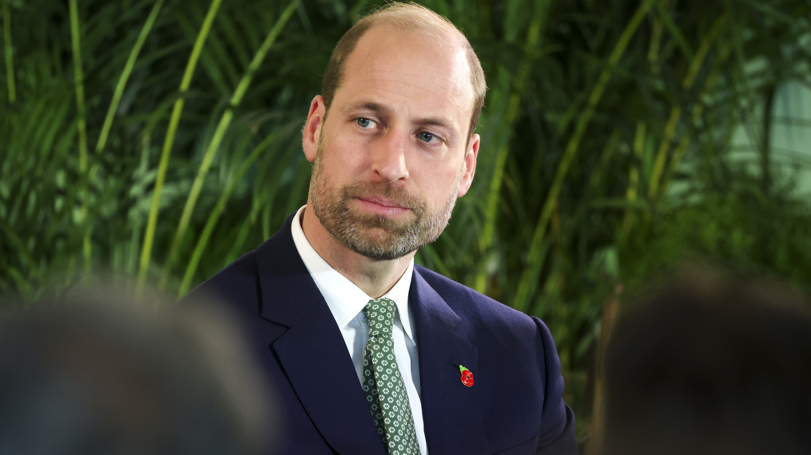 Prince William Gets Dressed Down In Scathing Response To His Plans To ...