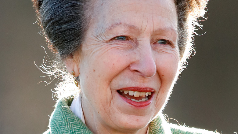 Princess Anne Lives An Insanely Lavish Life