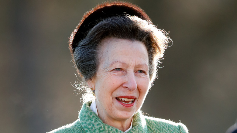 Princess Anne Lives An Insanely Lavish Life