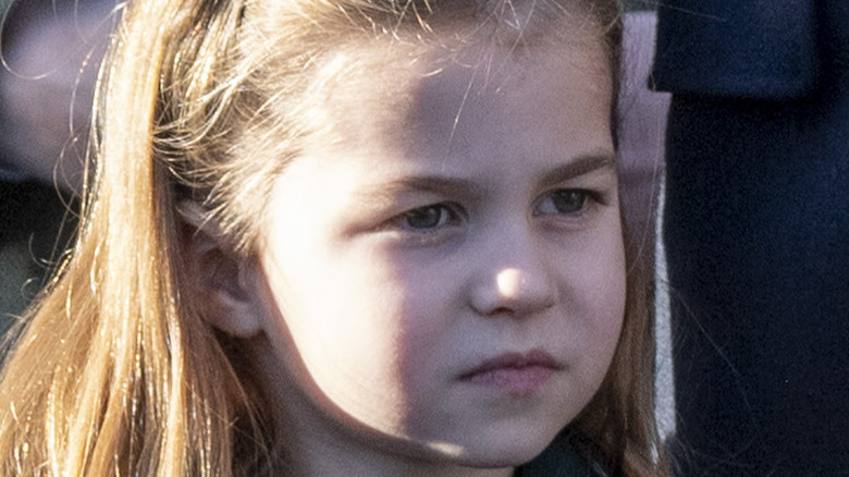 Princess Charlotte Looks Nearly Identical To These Royal Members Princess Charlotte Looks Nearly Identical To These Royal Members
