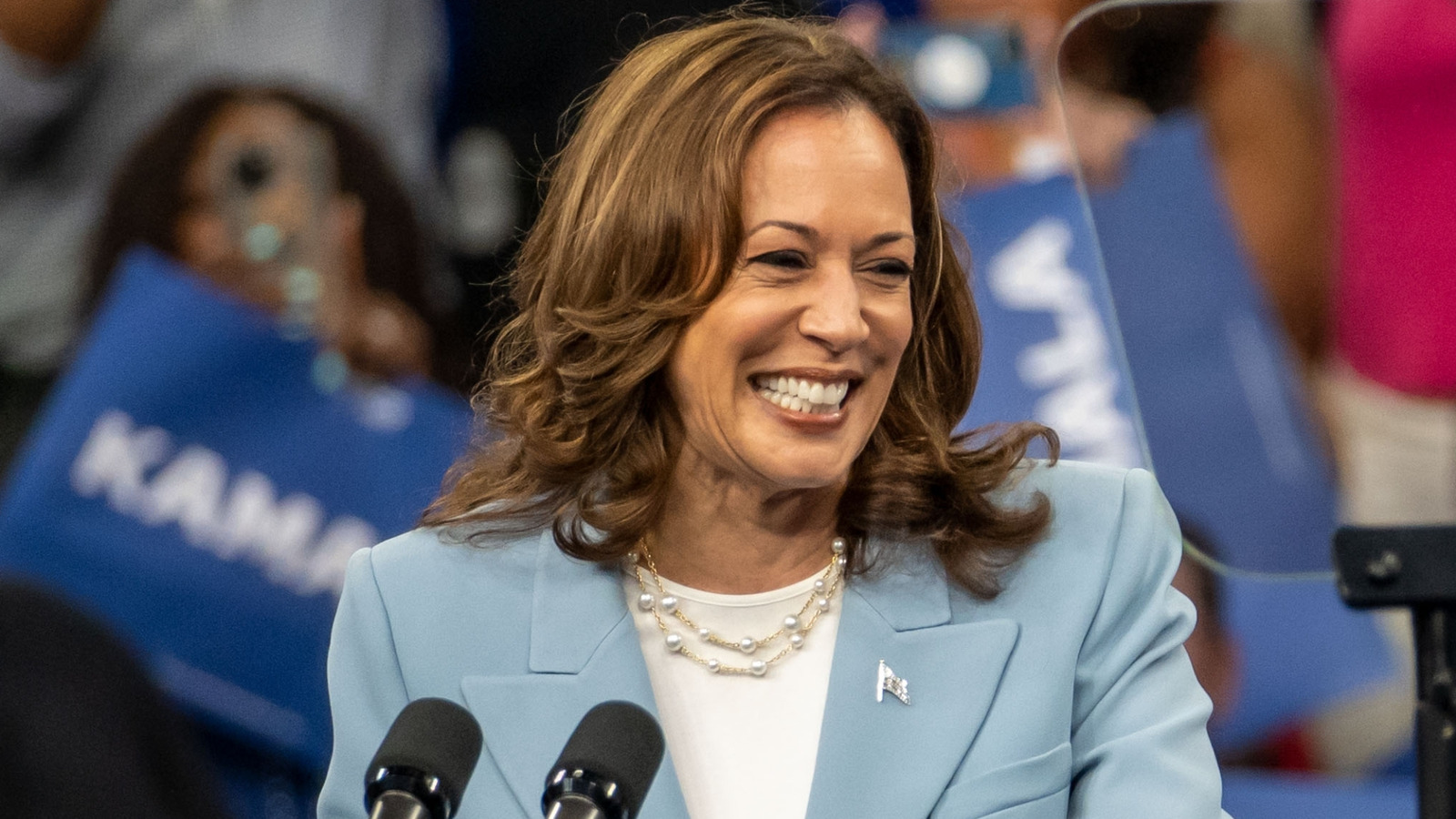 Side-By-Side Photos Of Kamala Harris' Transformation Are Jaw-Dropping