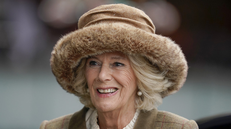 Strange Facts About Camilla Parker Bowles