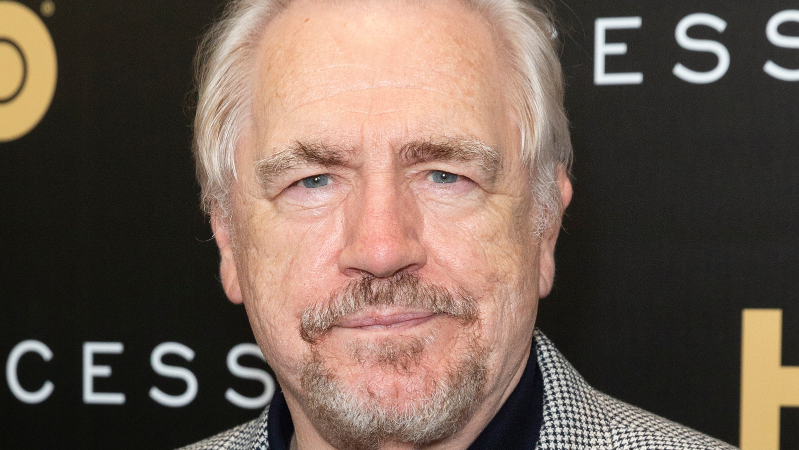 Succession Star Brian Cox Has Harsh Words For These Hollywood Stars Succession Star Brian Cox Has Harsh Words For These Hollywood Stars