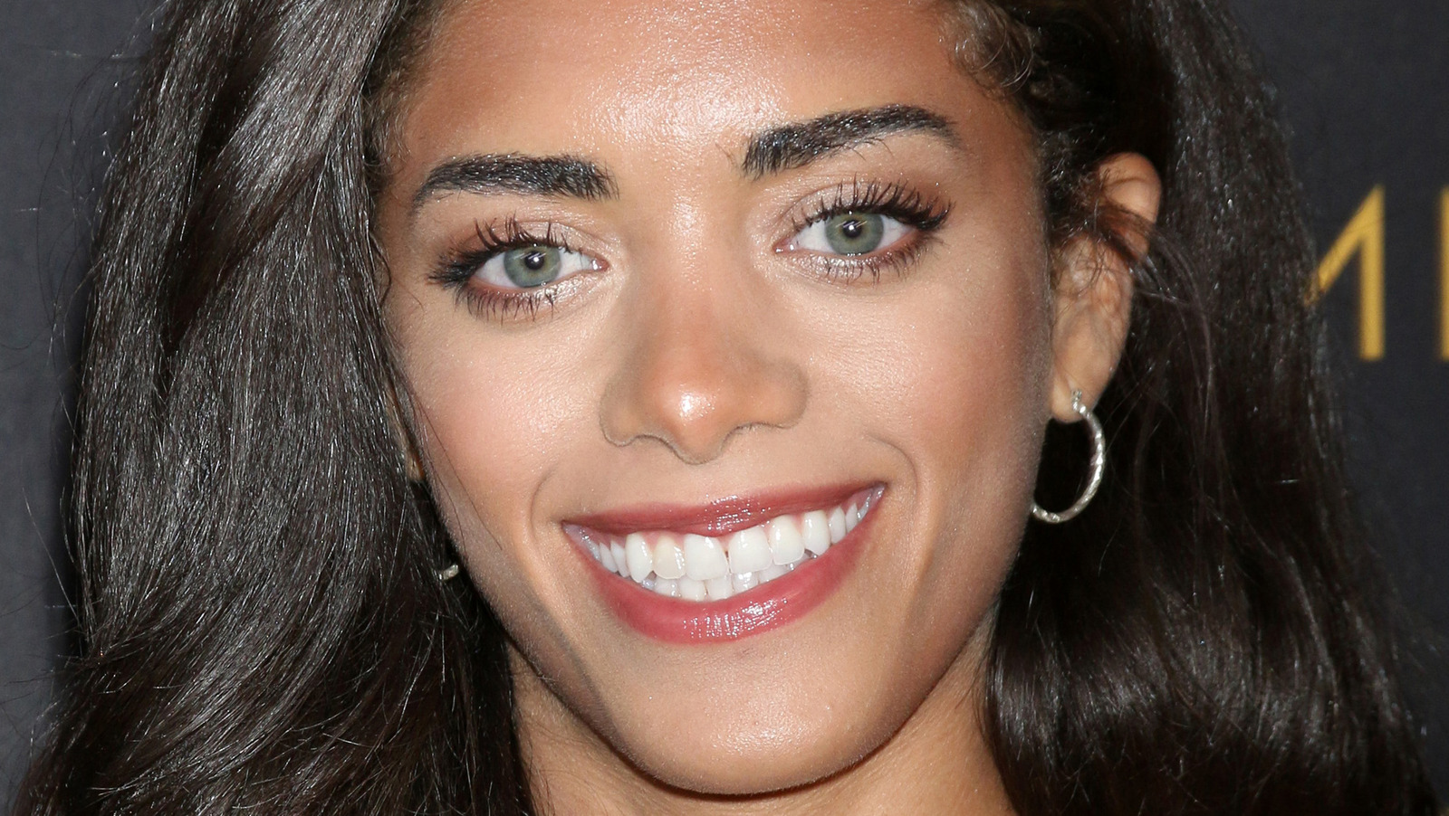 The Brief And Fleeting Romance Between Zoe And Carter On The Bold And ...