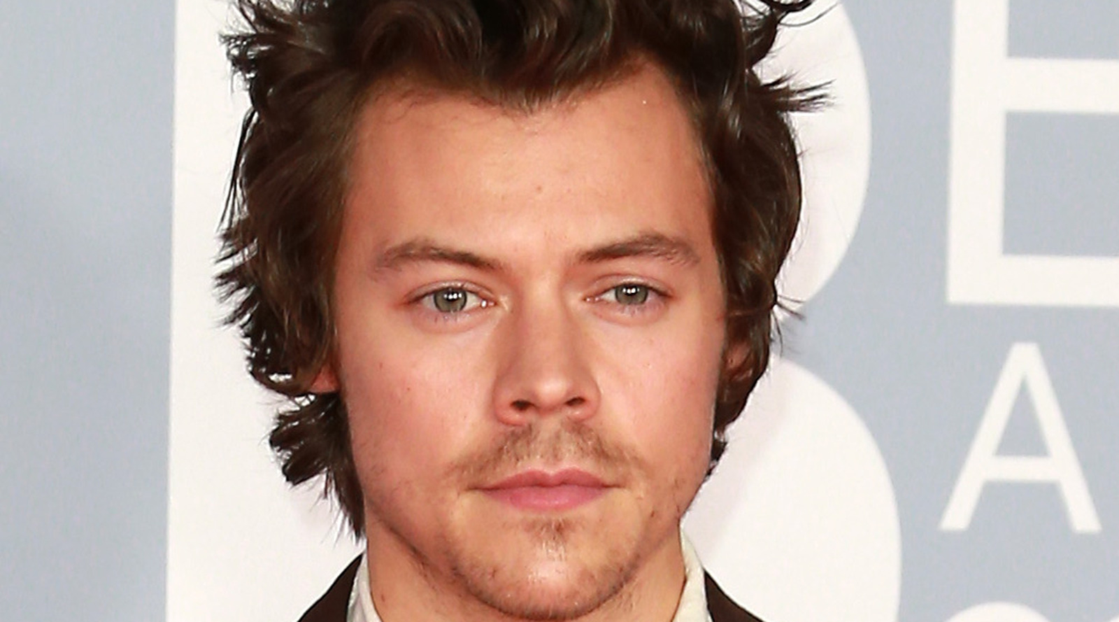 The Extra Body Parts You Didn't Know Harry Styles Had