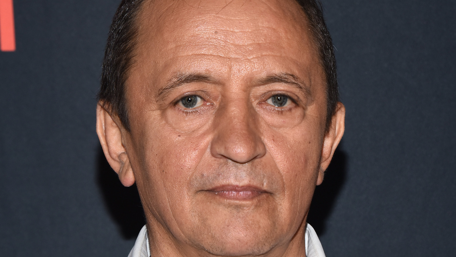 The Heartbreaking Death Of NCIS: Los Angeles Actor Ravil Isyanov