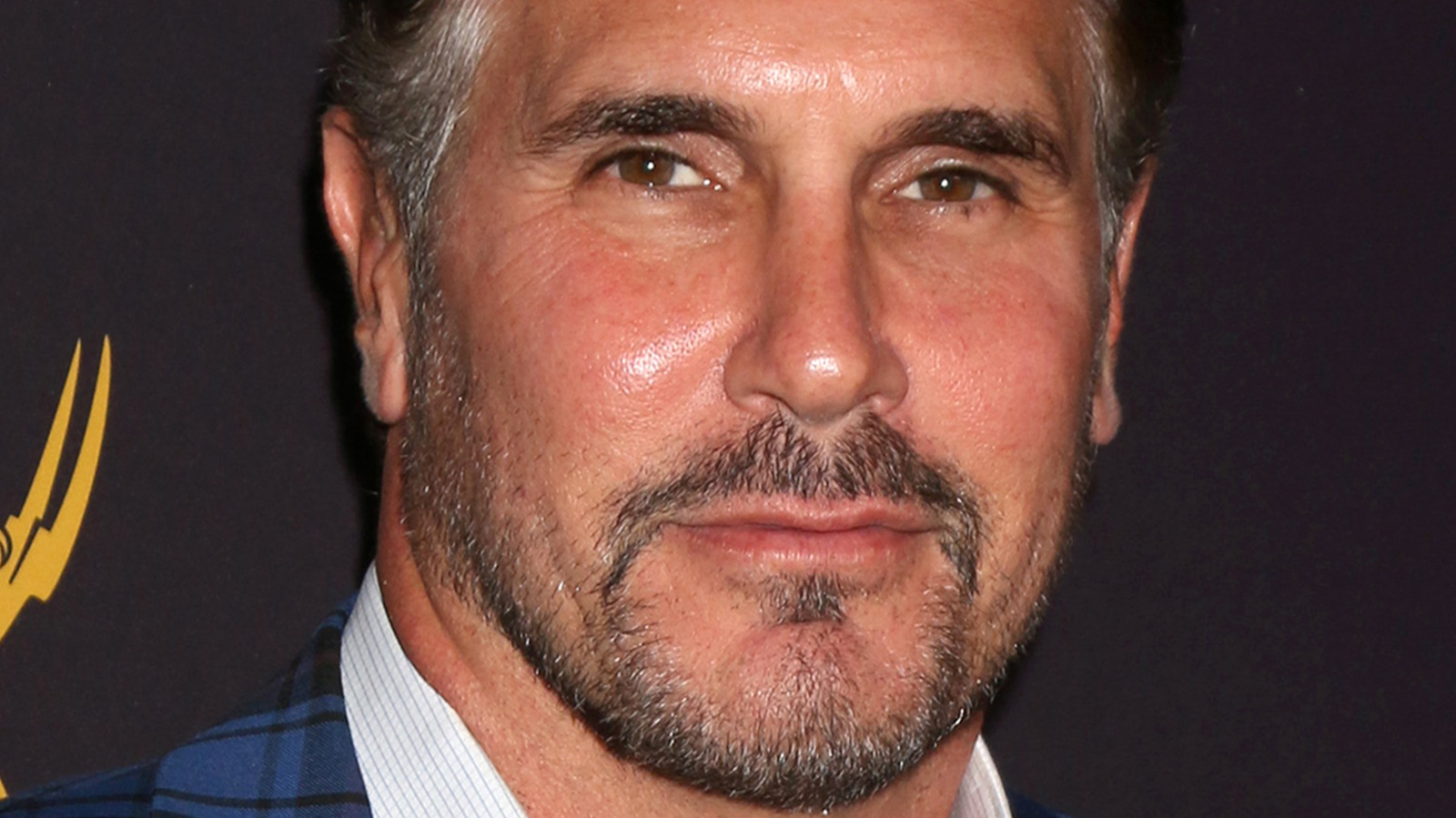 The Hilarious Way The Bold And The Beautiful's Don Diamont Deals With ...