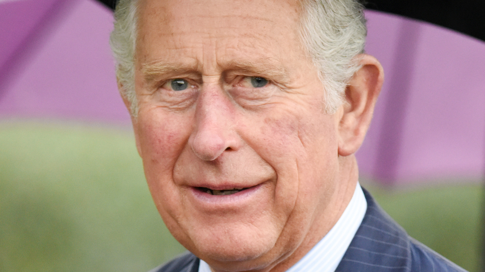 The Latest Update In Prince Charles's Eyebrow Raising Charity Scandal ...