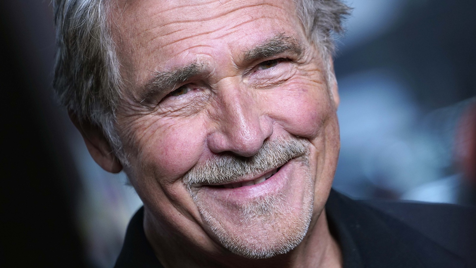 The Law And Order Svu Episode You Forgot Starred James Brolin
