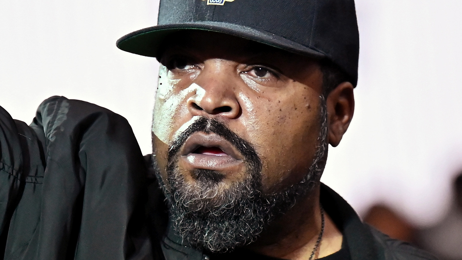 The Origins Of Bye Felicia