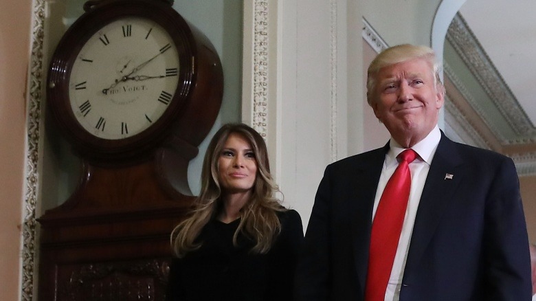 The Stunning Transformation Of Melania Trump