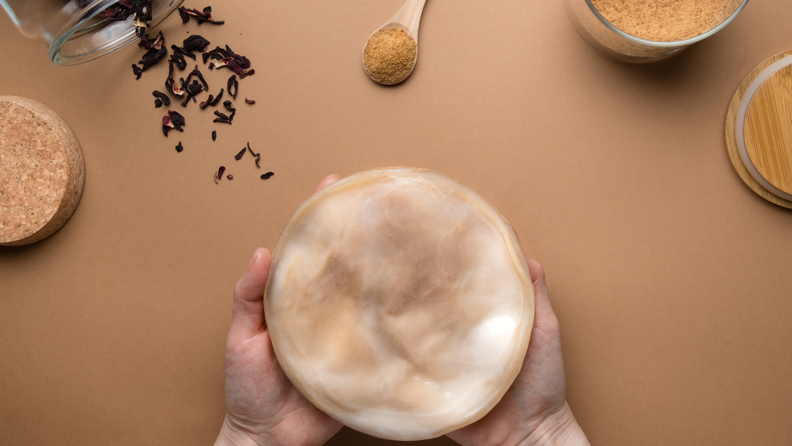 The Truth About Clothes Made From Kombucha Tea