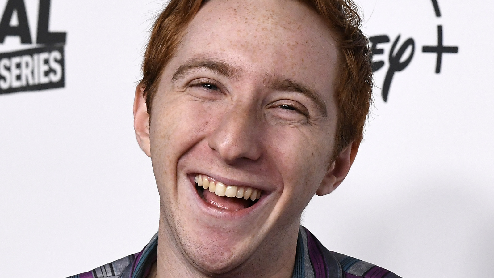 The Truth About HSMTMTS Star Larry Saperstein