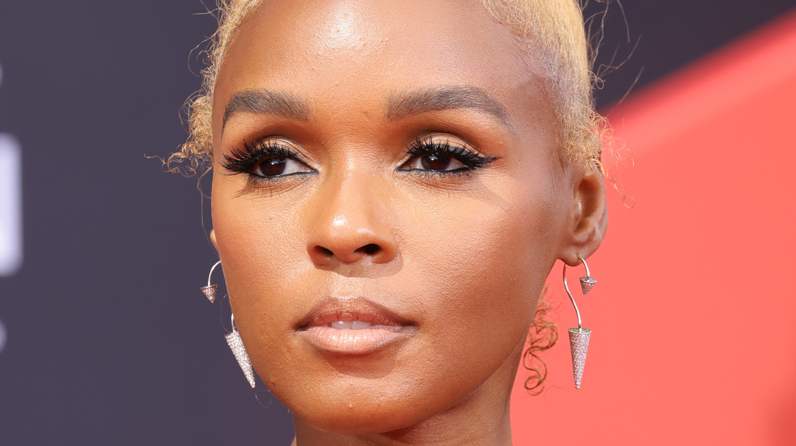 The Truth About Janelle Monaes Sexuality Celeb 99