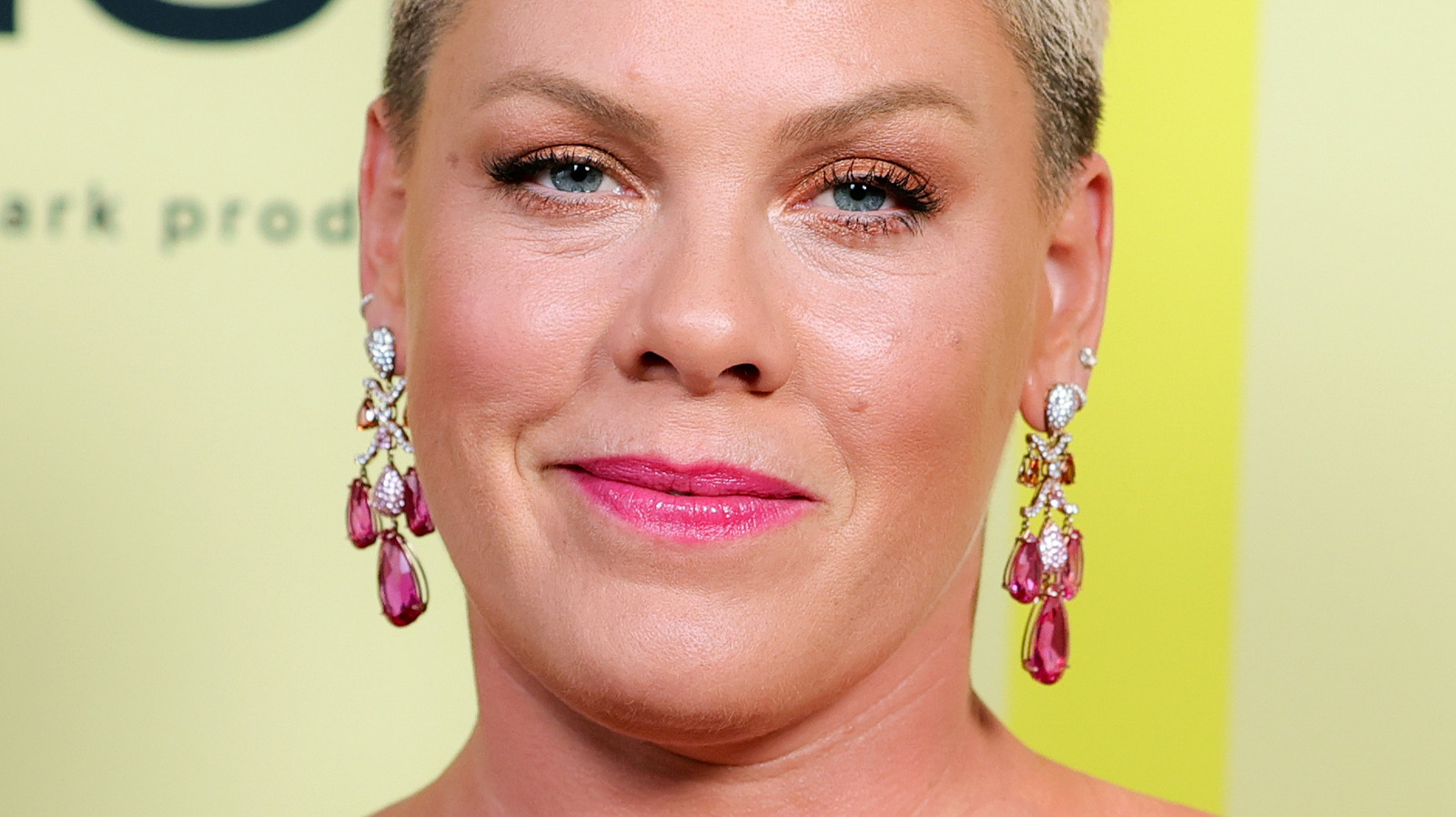 The Truth About Pink's Relationship With Her Late Father