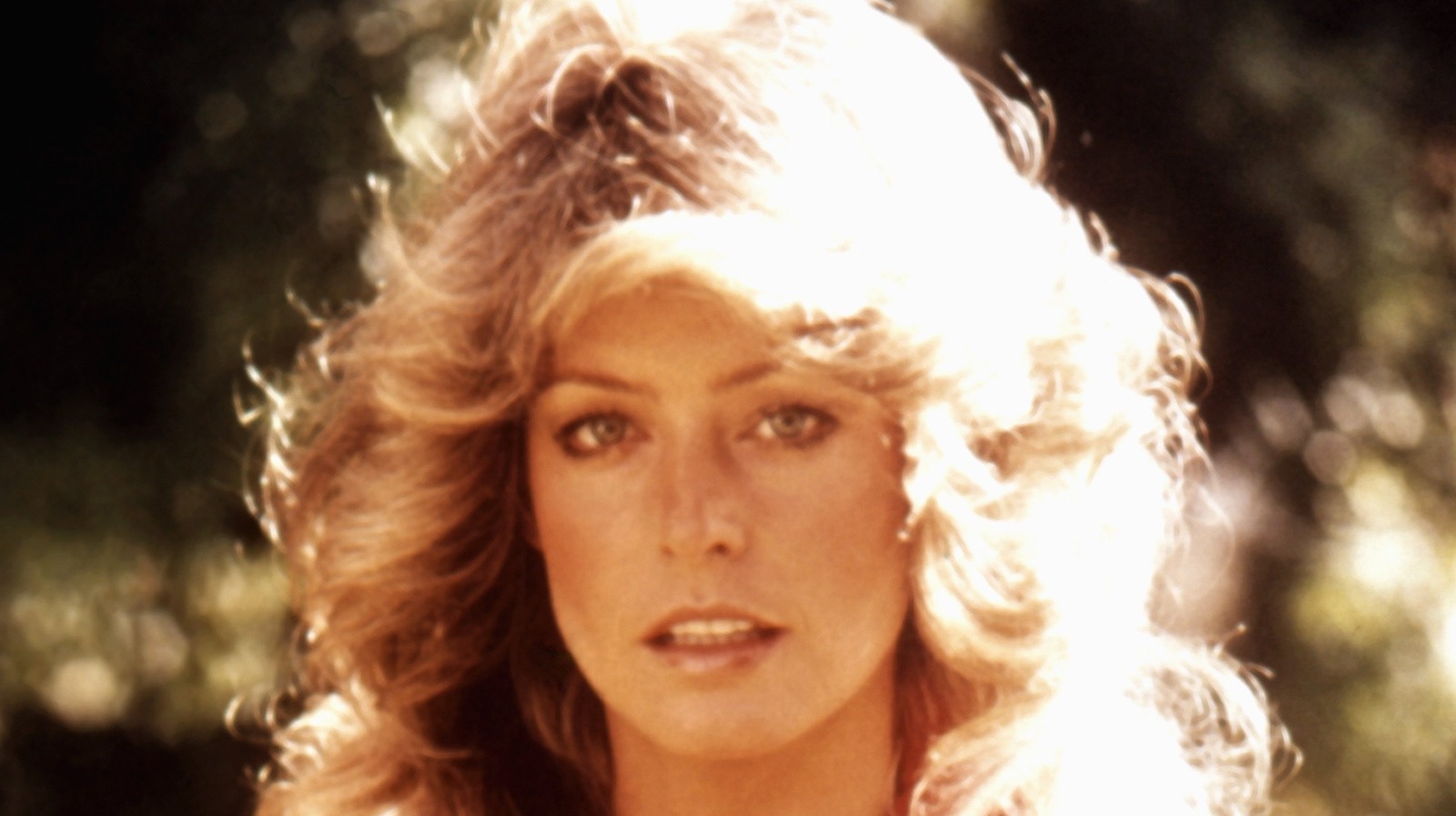 Farrah Fawcett: 20 Facts About The Charlie's Angels Star