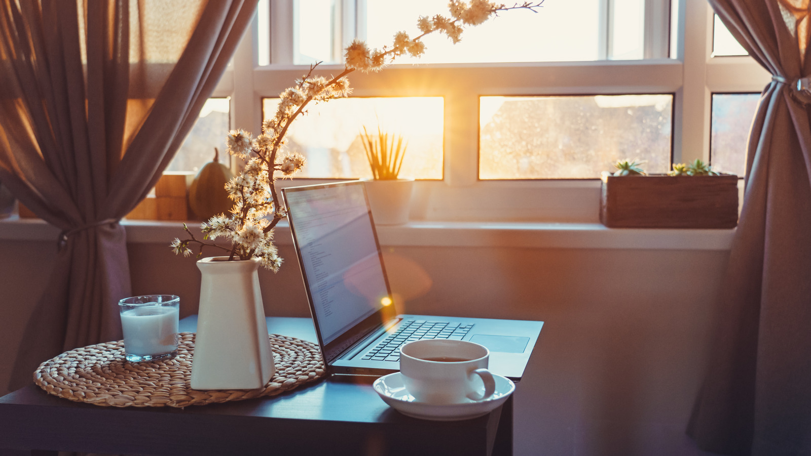 These Are The Best Adaptogenic Elixirs To Reduce Your Stress Levels