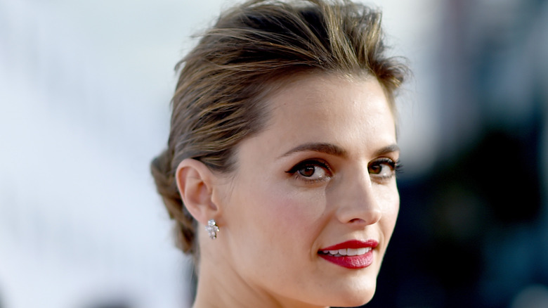 Things You Don't Know About Stana Katic
