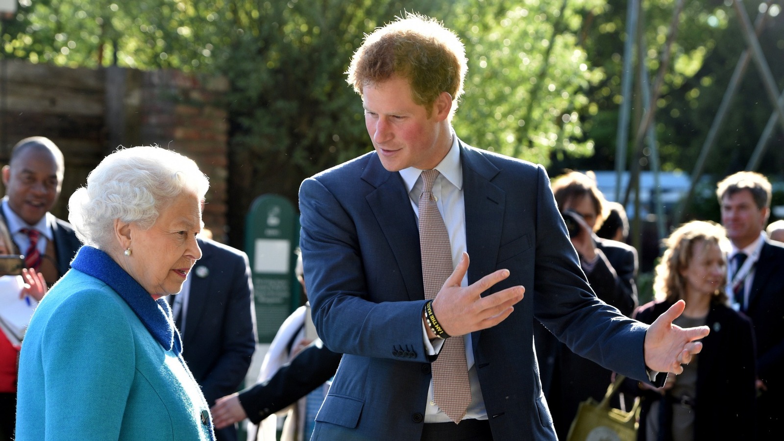 This Cheeky Queen Elizabeth And Prince Harry TikTok Speaks Volumes ...