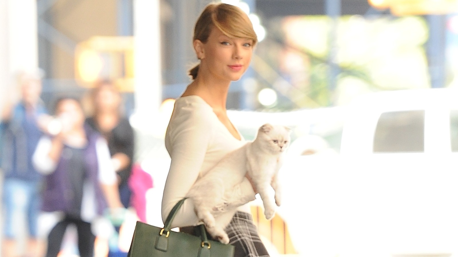 Taylor Swift's Famous Cat Olivia Benson Grew Up Right Before Our Eyes