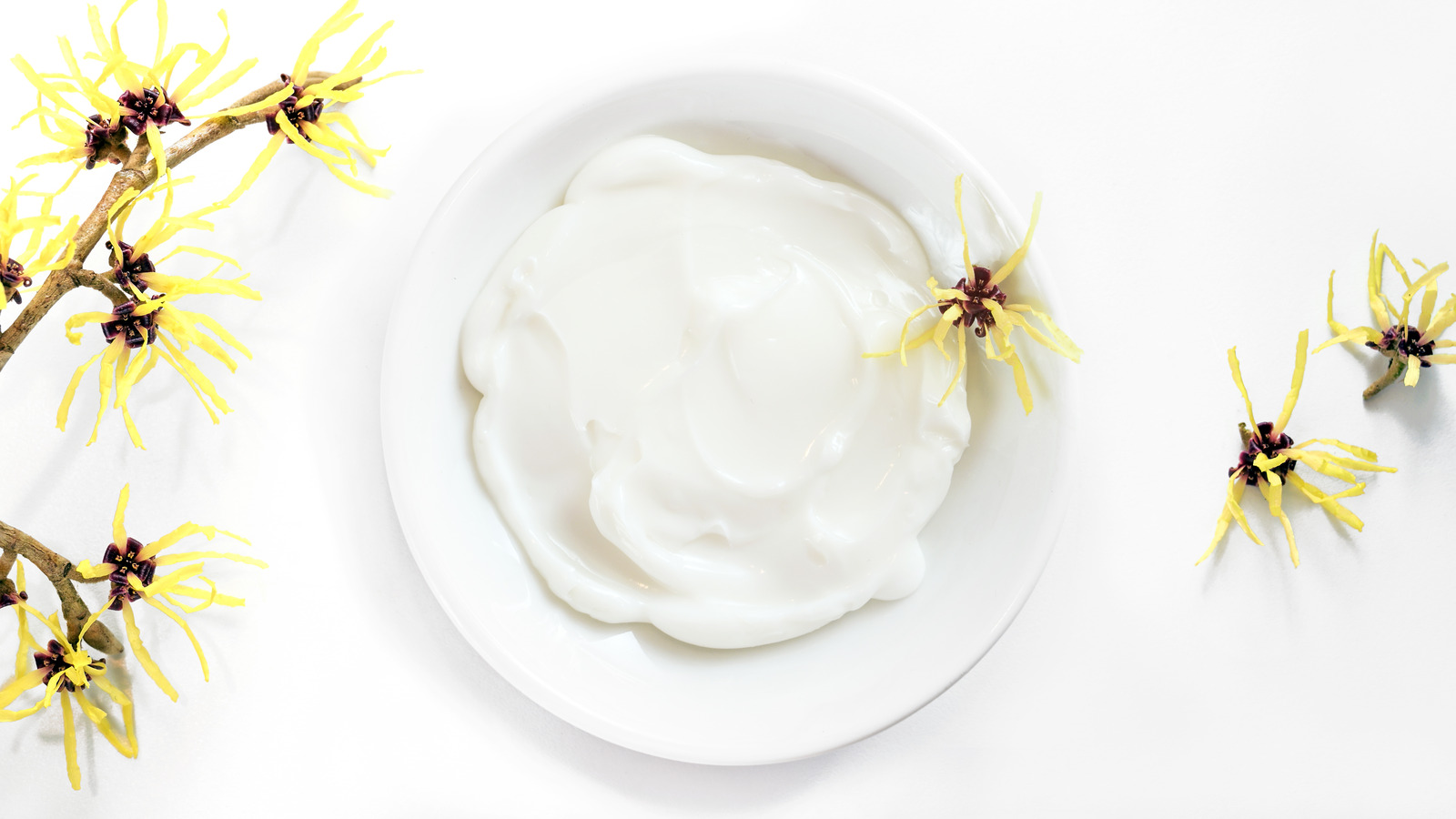 This Is Why You Should Always Have Witch Hazel In Your Home