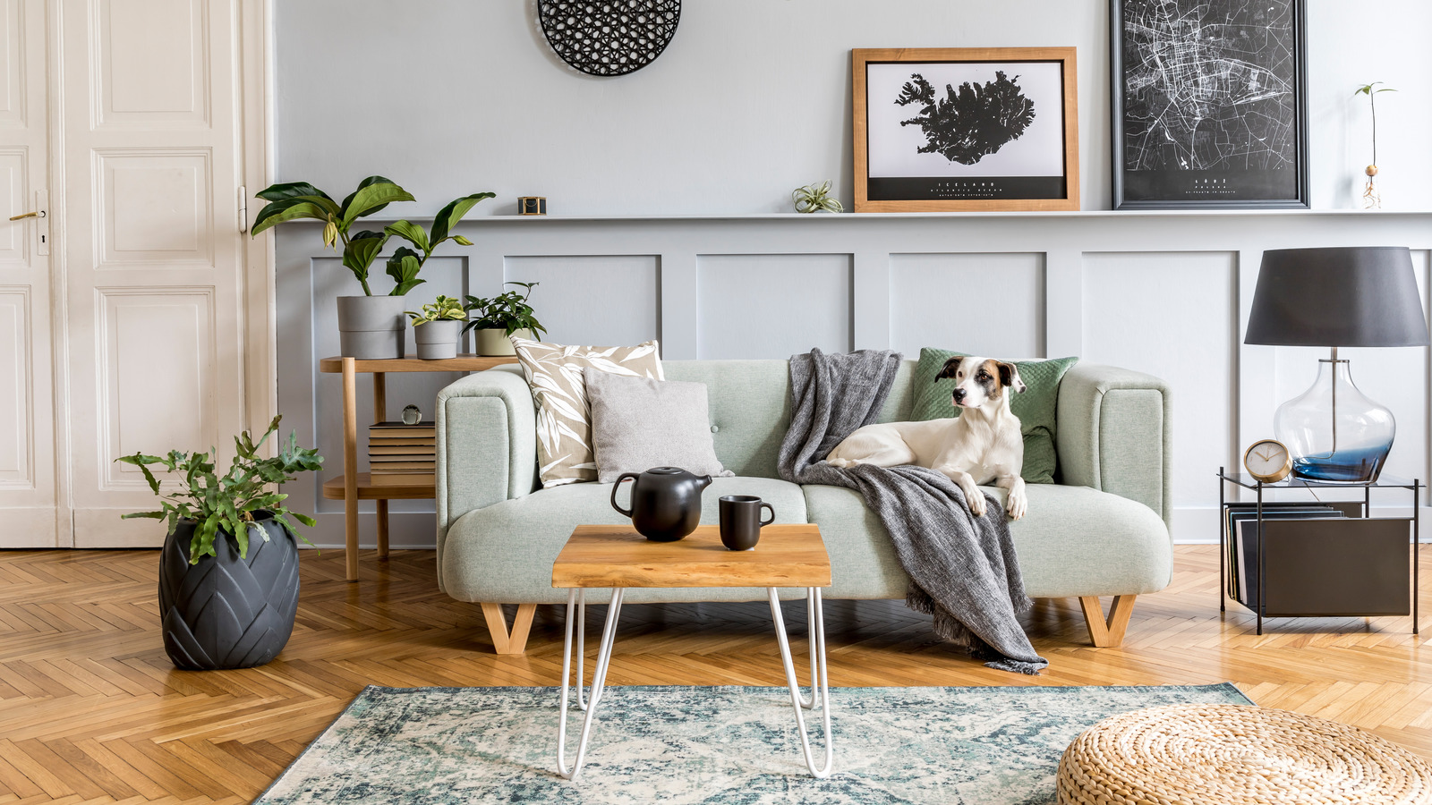 TikTok's Favorite DIY Home Design Trends