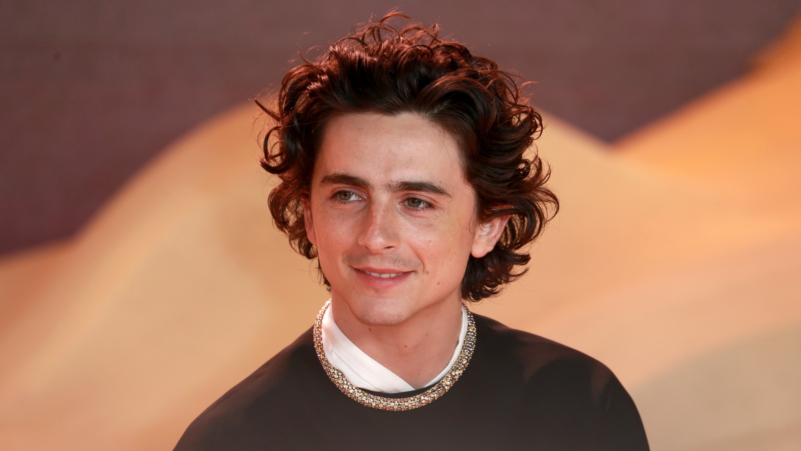 Timothée Chalamet Has Had Quite The Transformation