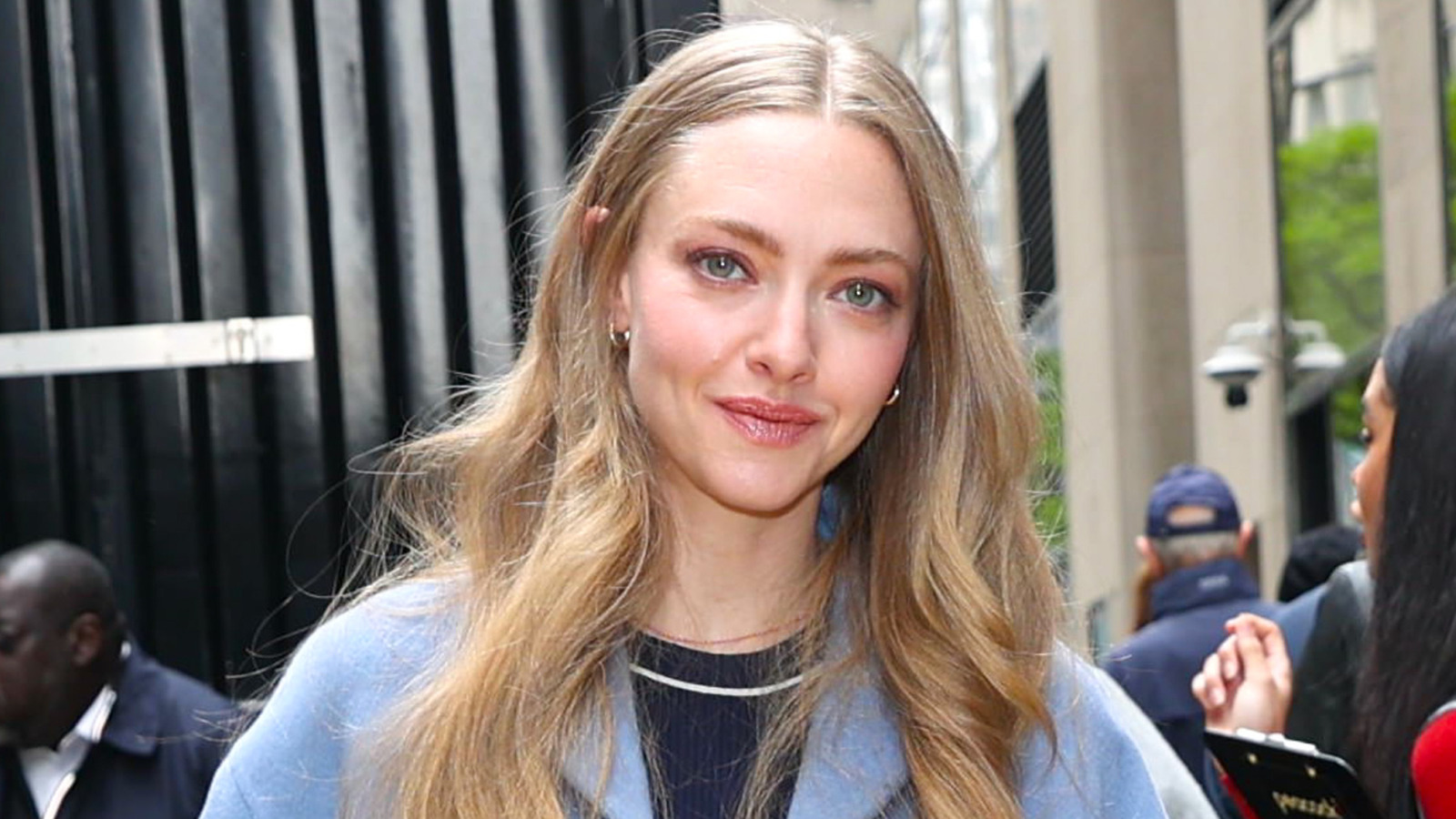 Tragic Details About Amanda Seyfried