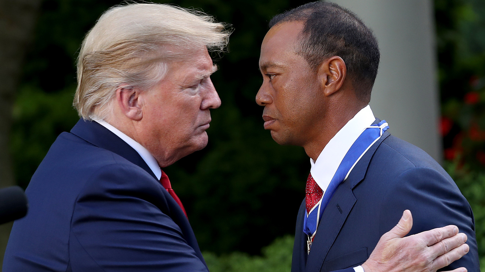 Trump Family's Connection To Tiger Woods Under Microscope After Golfer ...