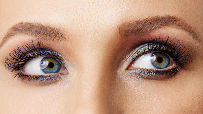What Does It Mean To Have Double Eyelids Free Hot Nude Porn Pic Gallery What Does It Mean To Have Double Eyelids Free Hot Nude Porn Pic Gallery