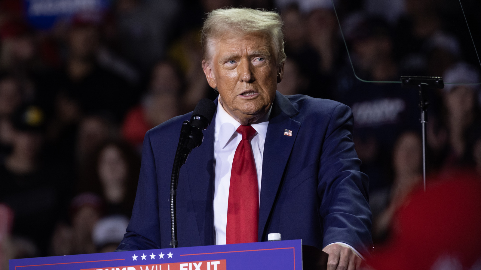 What Kamala Harris And Donald Trump's Post-Election Phone Call Was ...