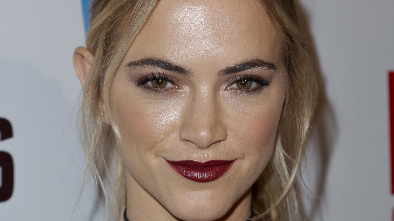 What Really Led To Emily Wickersham's NCIS On-Screen Divorce