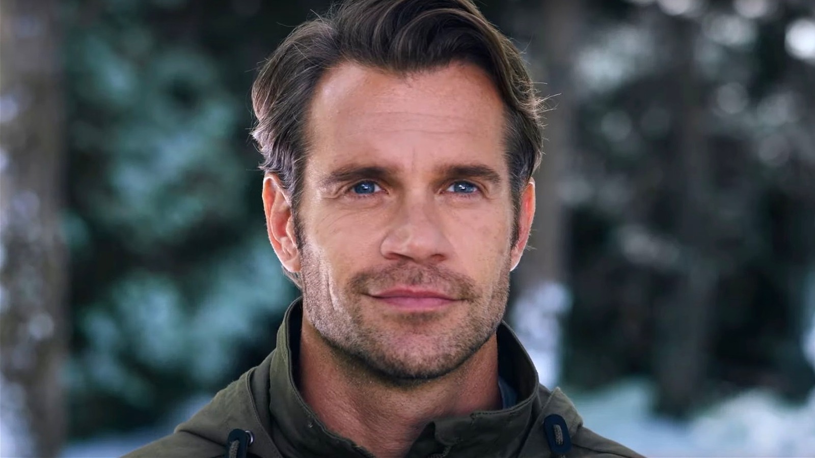 What Stephen Huszar Did Before Becoming A Hallmark Star