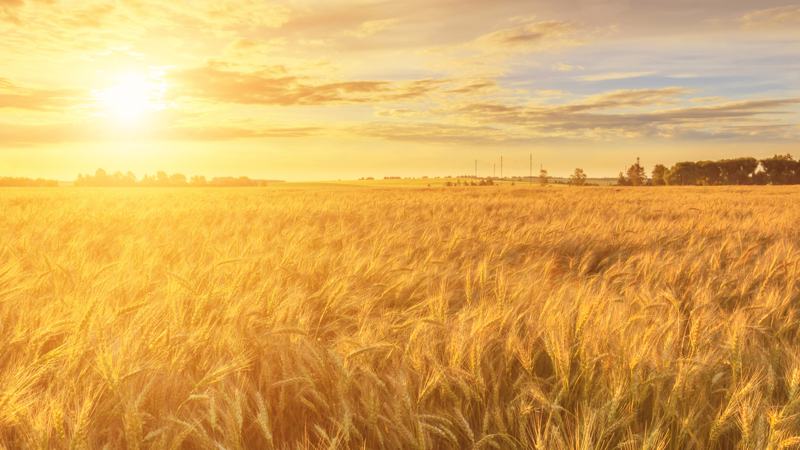 What The Summer Solstice On June 20 Means If You're A Gemini