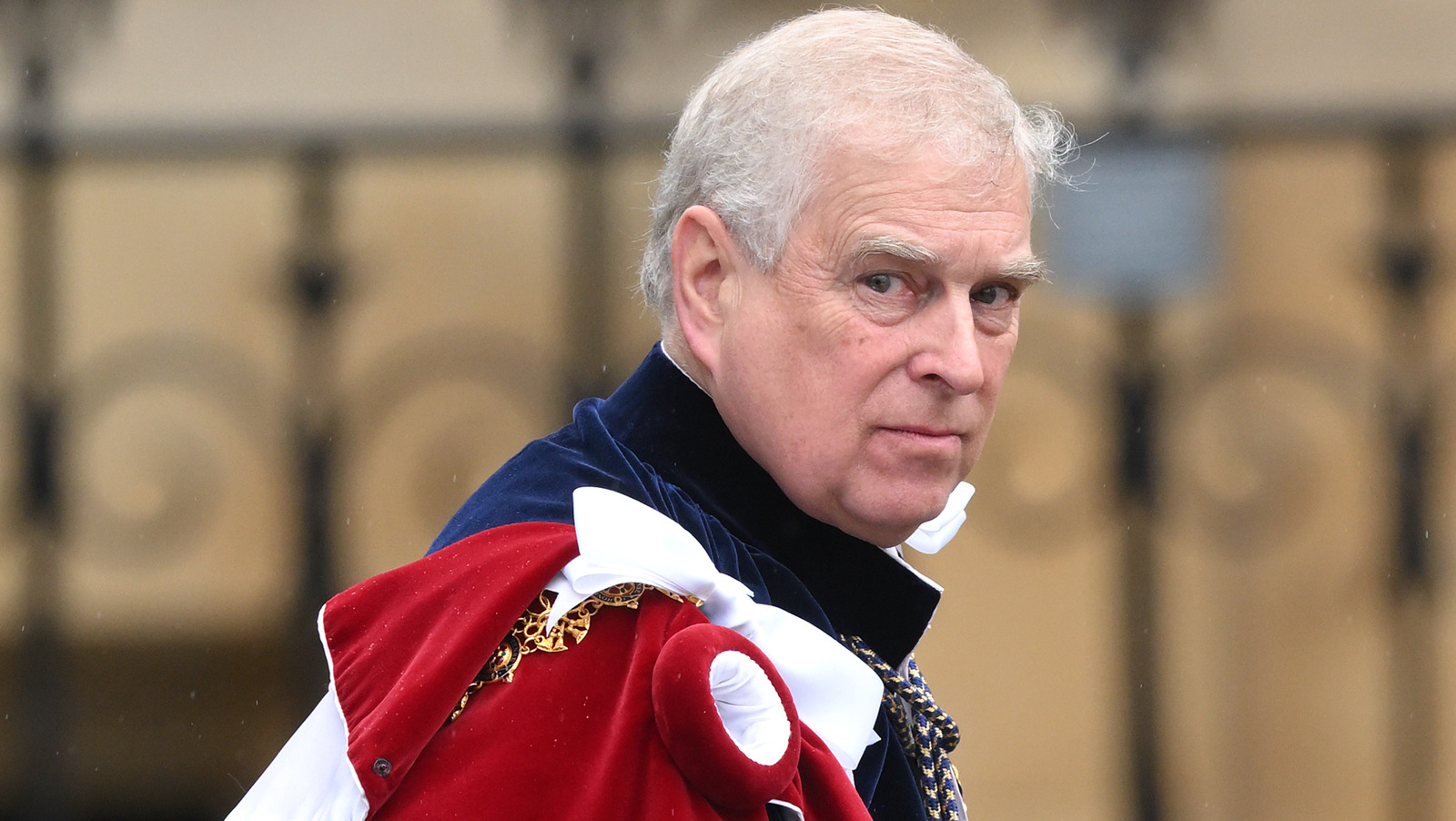 What We Know About Prince Andrew's Strange Teddy Bear Collection