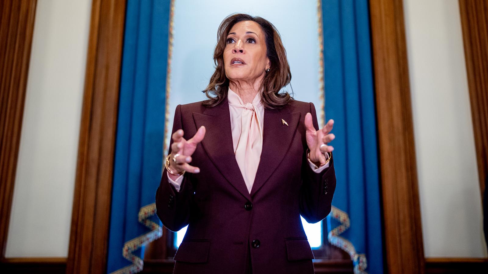 Kamala Harris' Next Steps Could Include More Political Ambitions