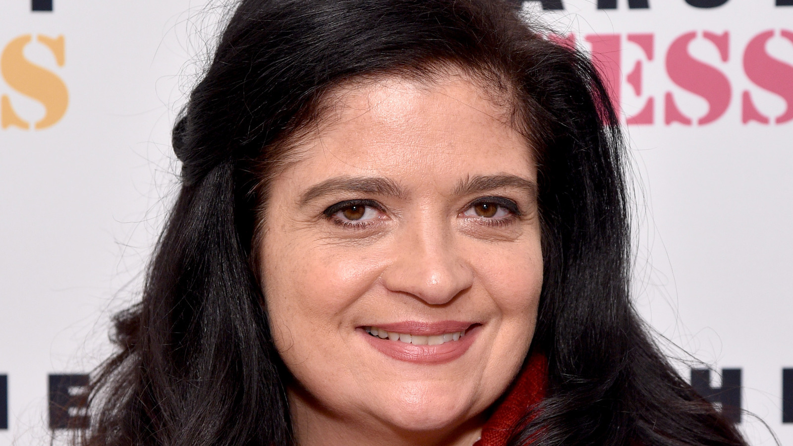 Who Is Alex Guarnaschelli's Fiance, Michael Castellon?