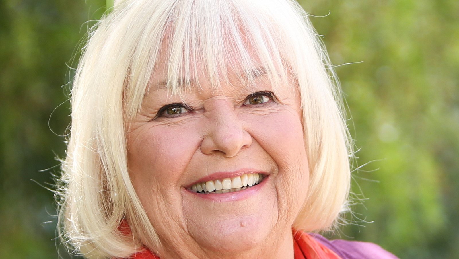 Who Is Holiday Baking Championship Judge Nancy Fuller?