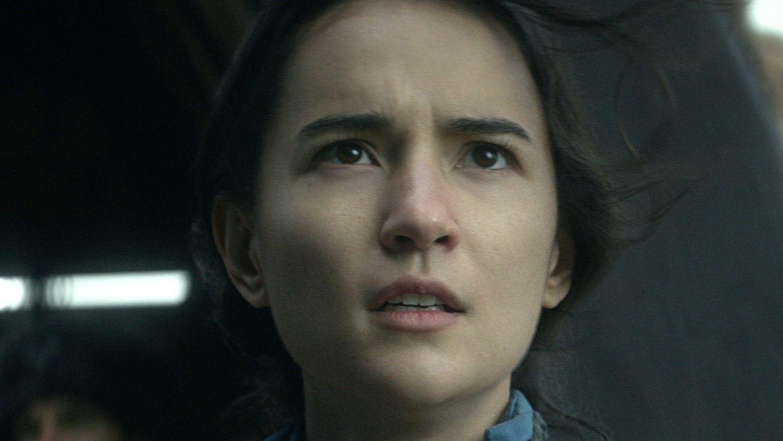 Who Is Shadow And Bone's Alina Starkov?