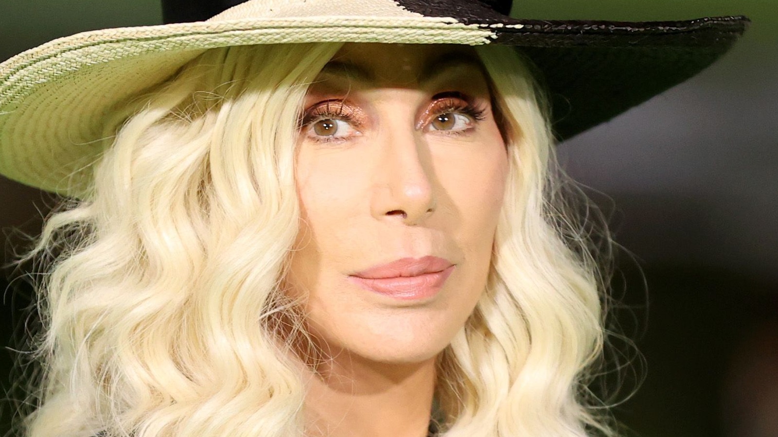 Why Have Cher's Fans Taken To Calling Her A Vampire?