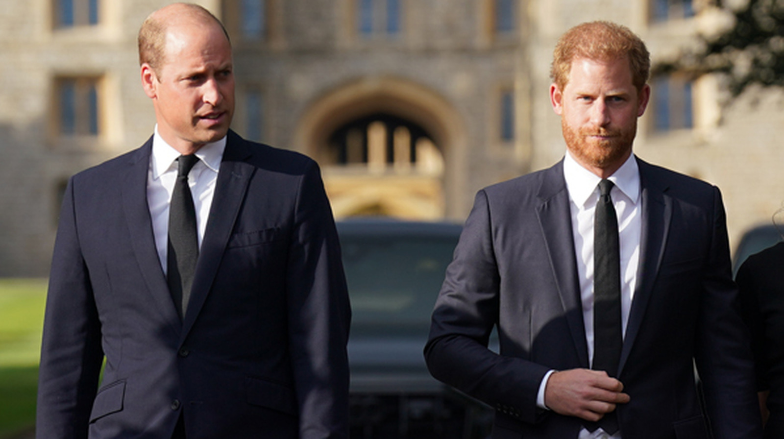 Why Prince Harry & Prince William Won't Reunite At 'Peacemaker' Cousin ...