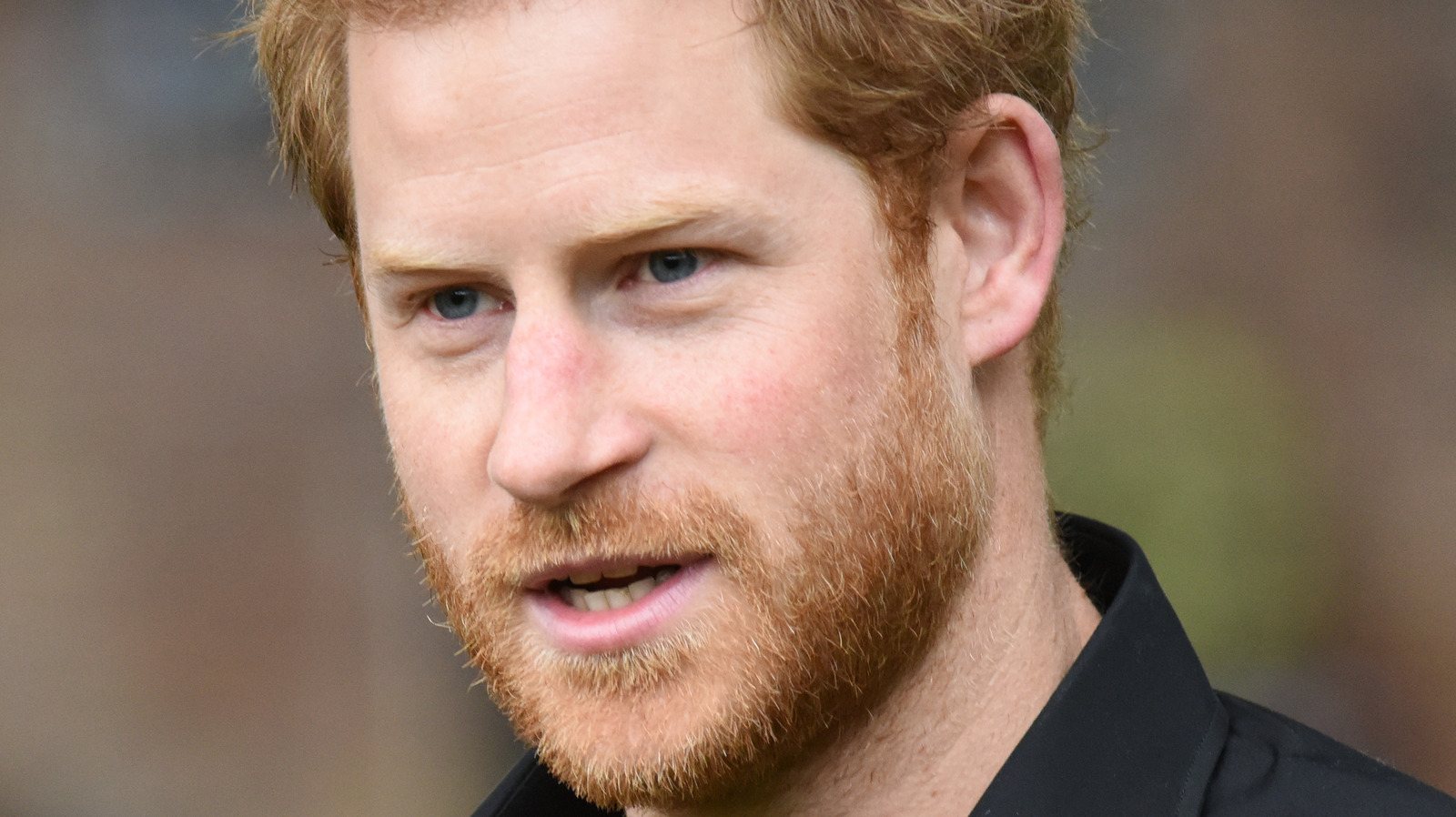 Why Prince Harry's Fans Are Starting To Get Upset With Him Why Prince Harry's Fans Are Starting To Get Upset With Him