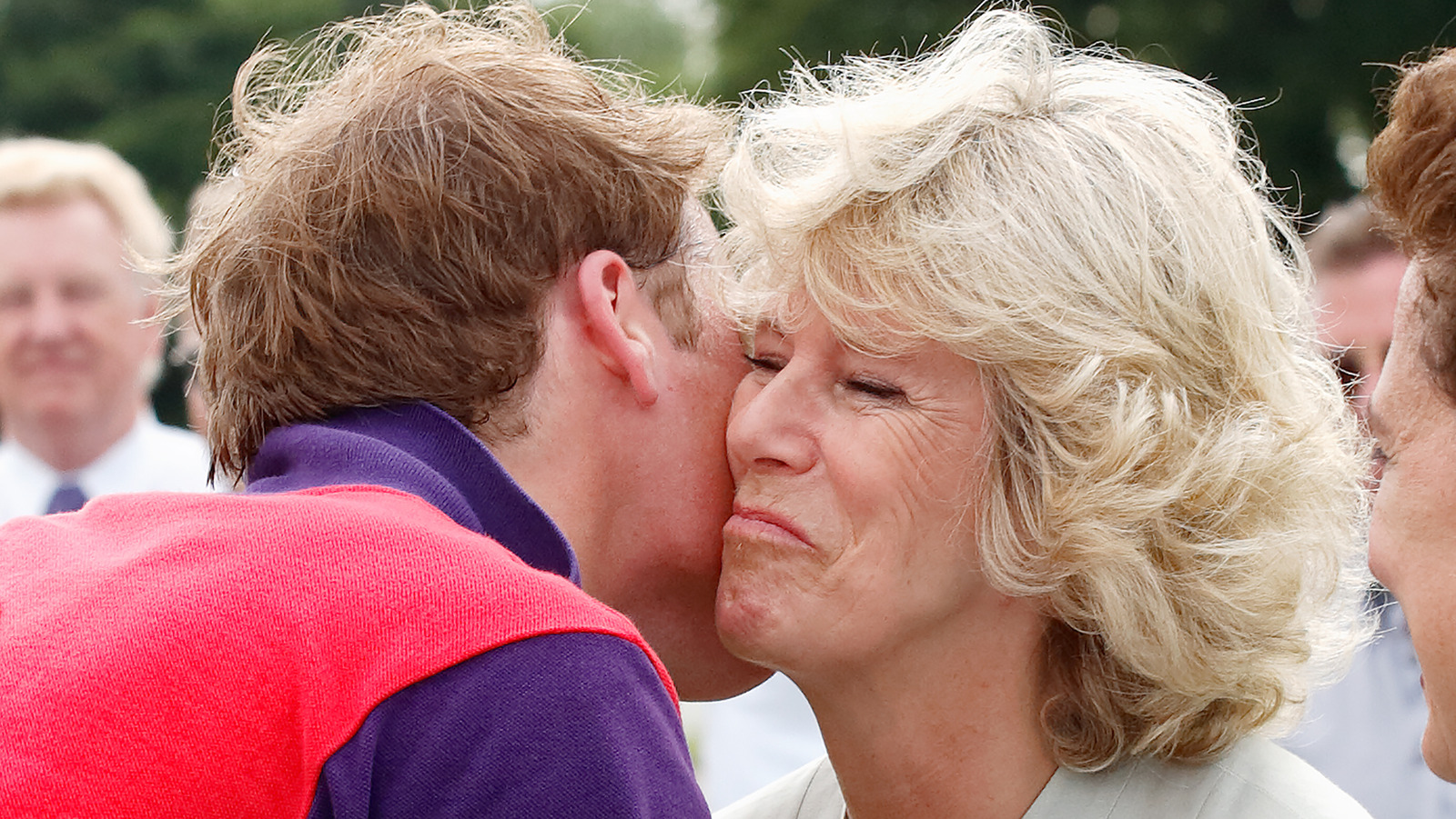 Why Queen Camilla Has A Better Relationship With Prince William Than Harry
