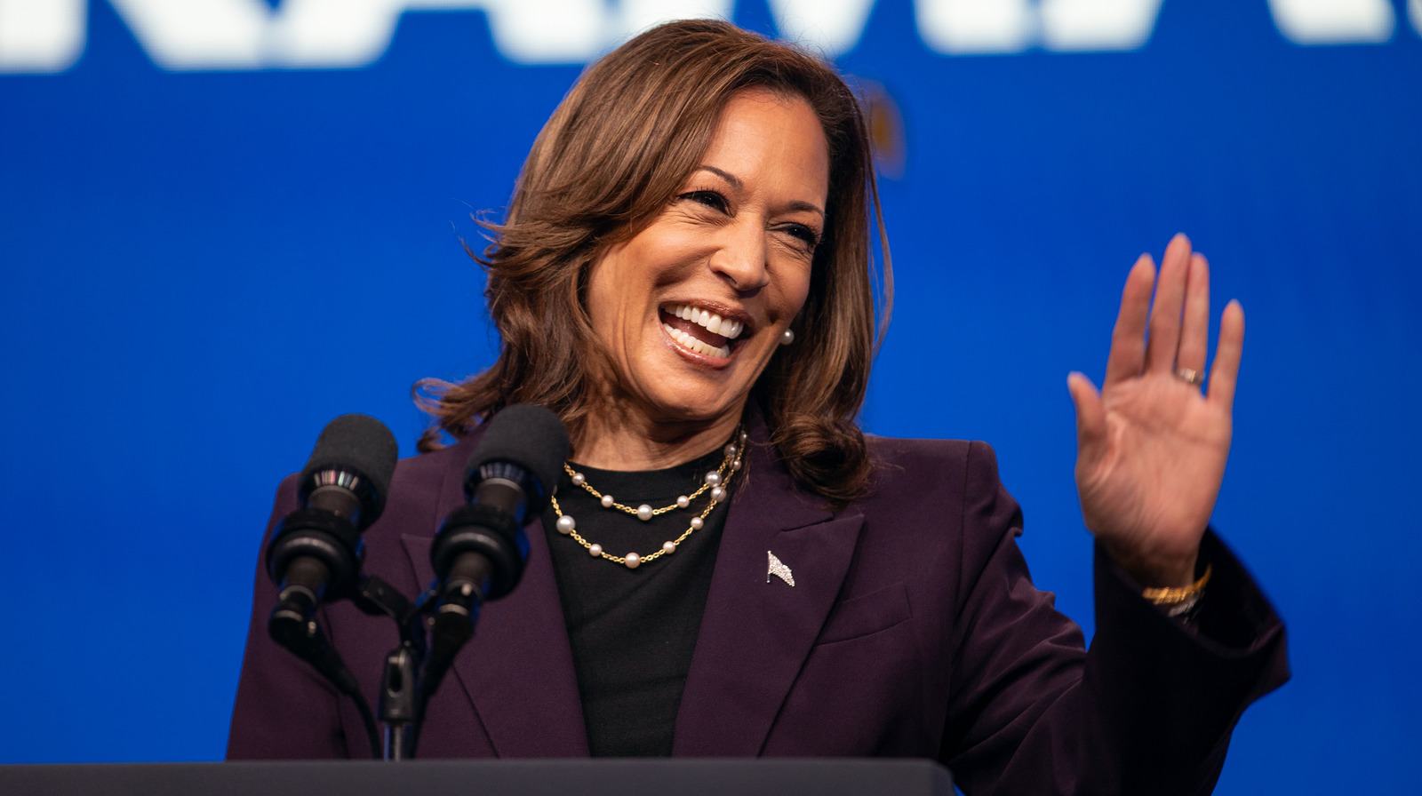 Your Guide To All Of The Kamala Harris Memes