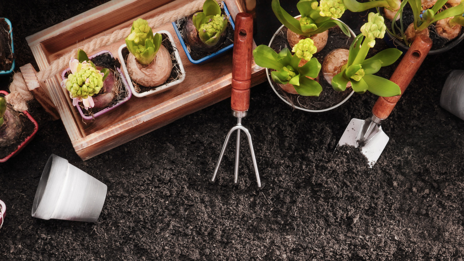 You've Been Taking Care Of Your Garden Tools Wrong All Along