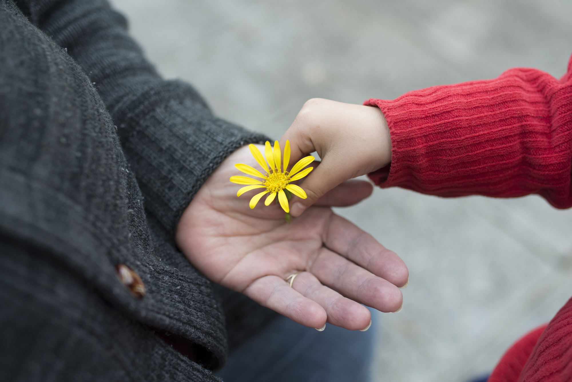 Small Acts Of Kindness That Changed The World